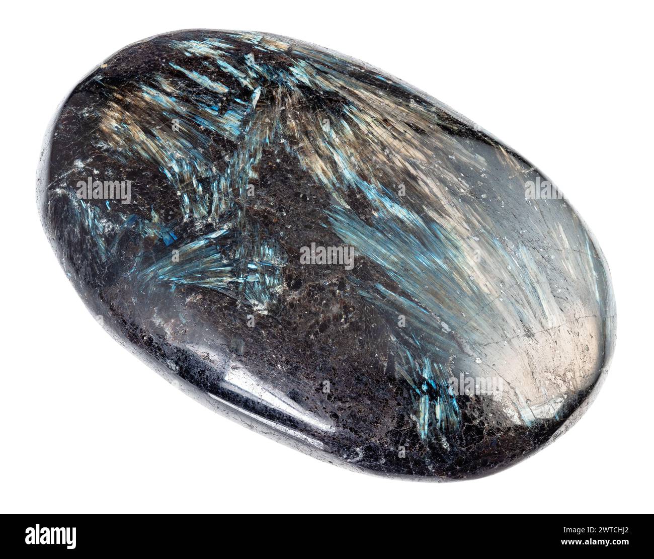 specimen of natural polished nuummite rock cutout on white background ...