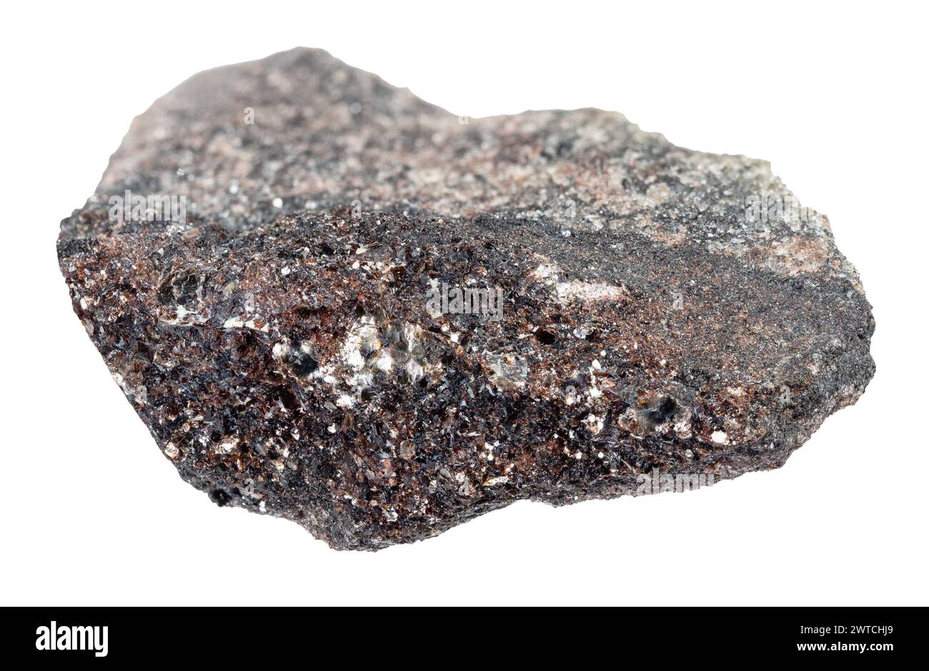 specimen of natural raw phlogopite mineral cutout on white background ...