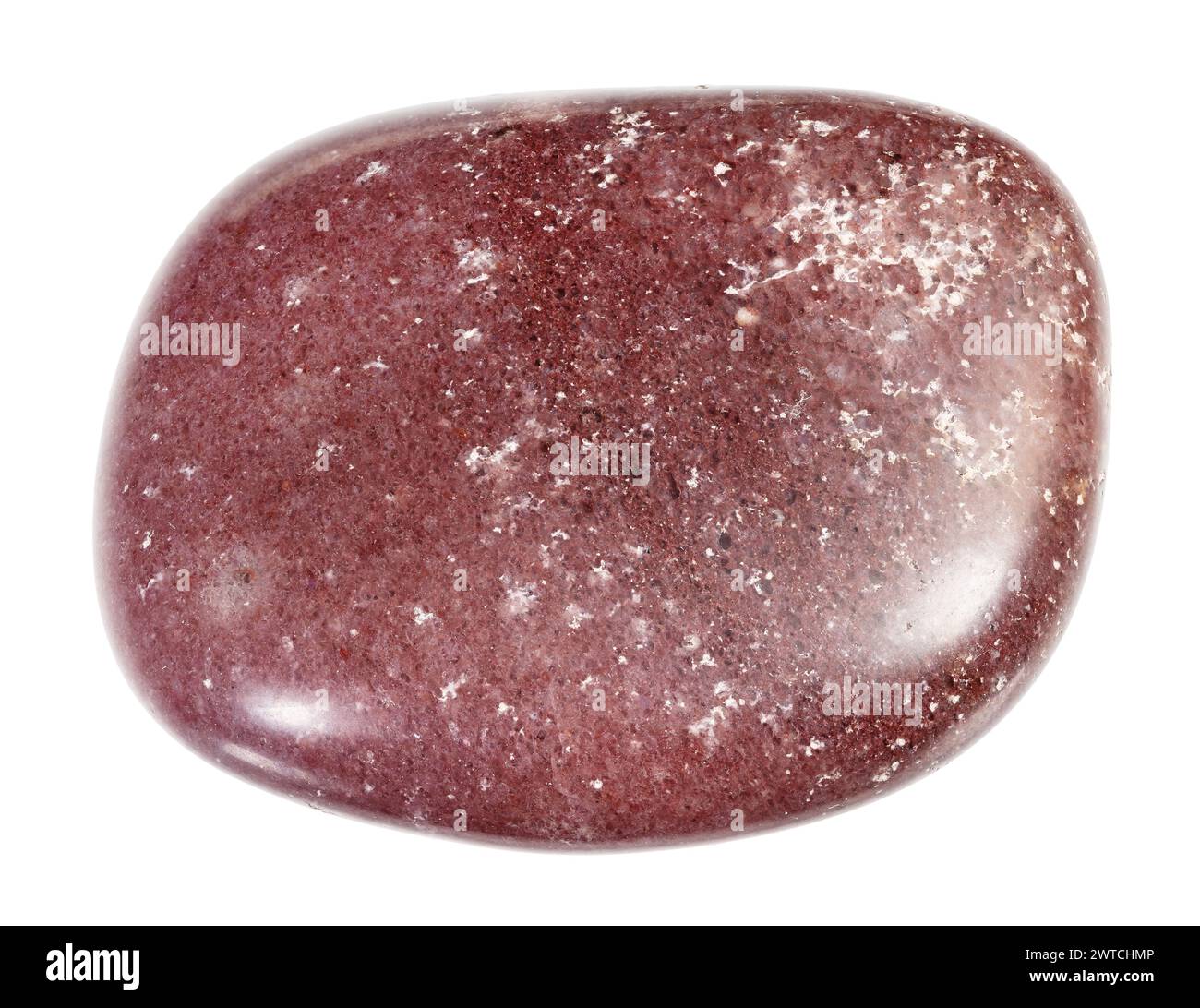 specimen of natural polished red brown quartzite rock cutout on white ...