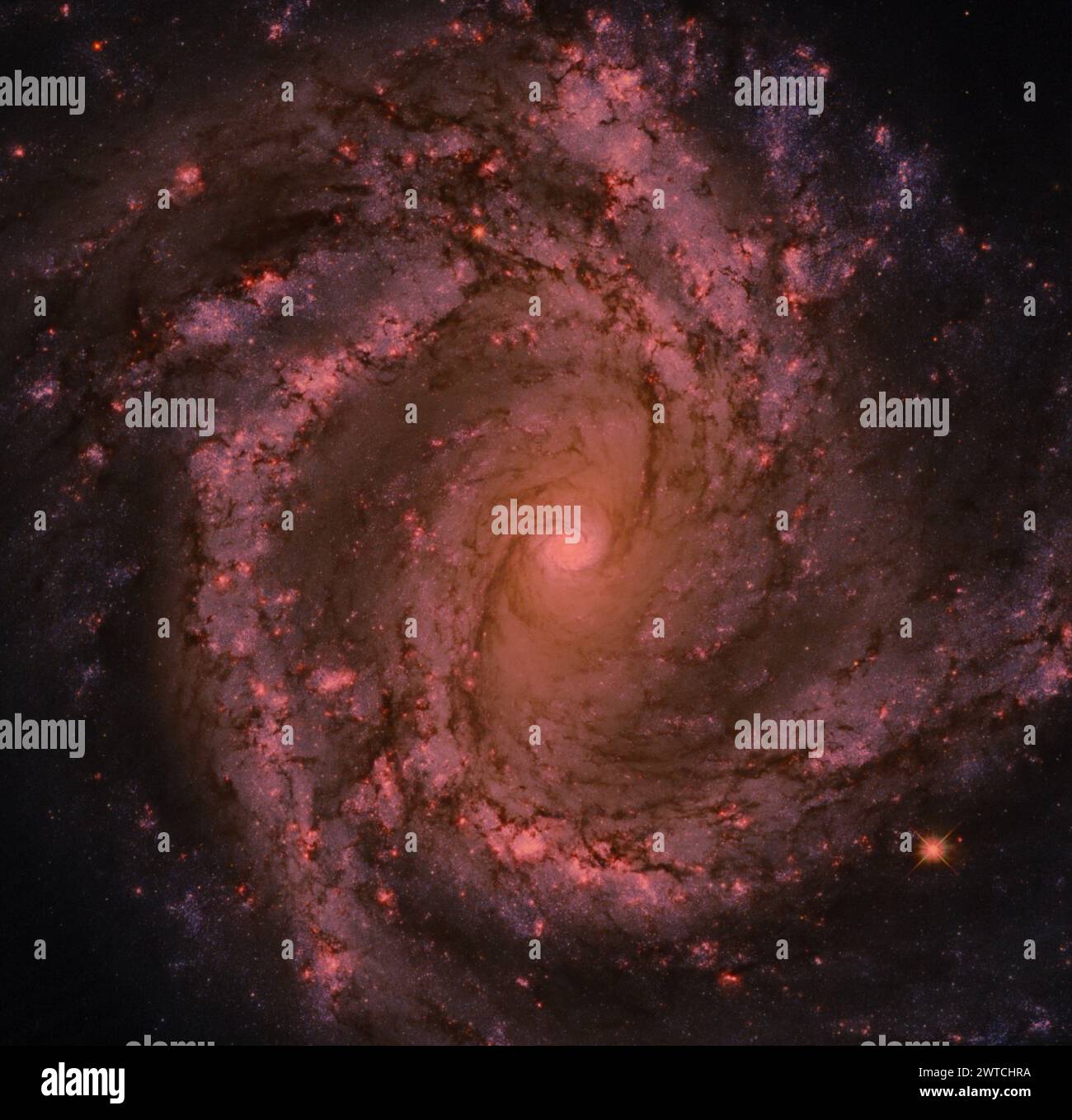 Spiral Galaxy in Deep Space: Messier 61-Elements of this image furnished by NASA Stock Photo - Alamy