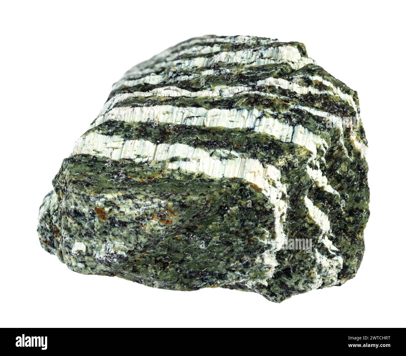 specimen of natural raw chrysotile serpentine rock cutout on white ...