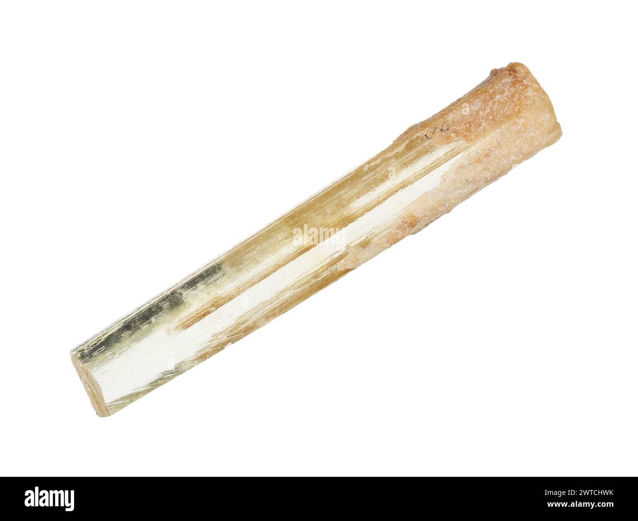 specimen of natural heliodor yellow beryl crystal cutout on white ...