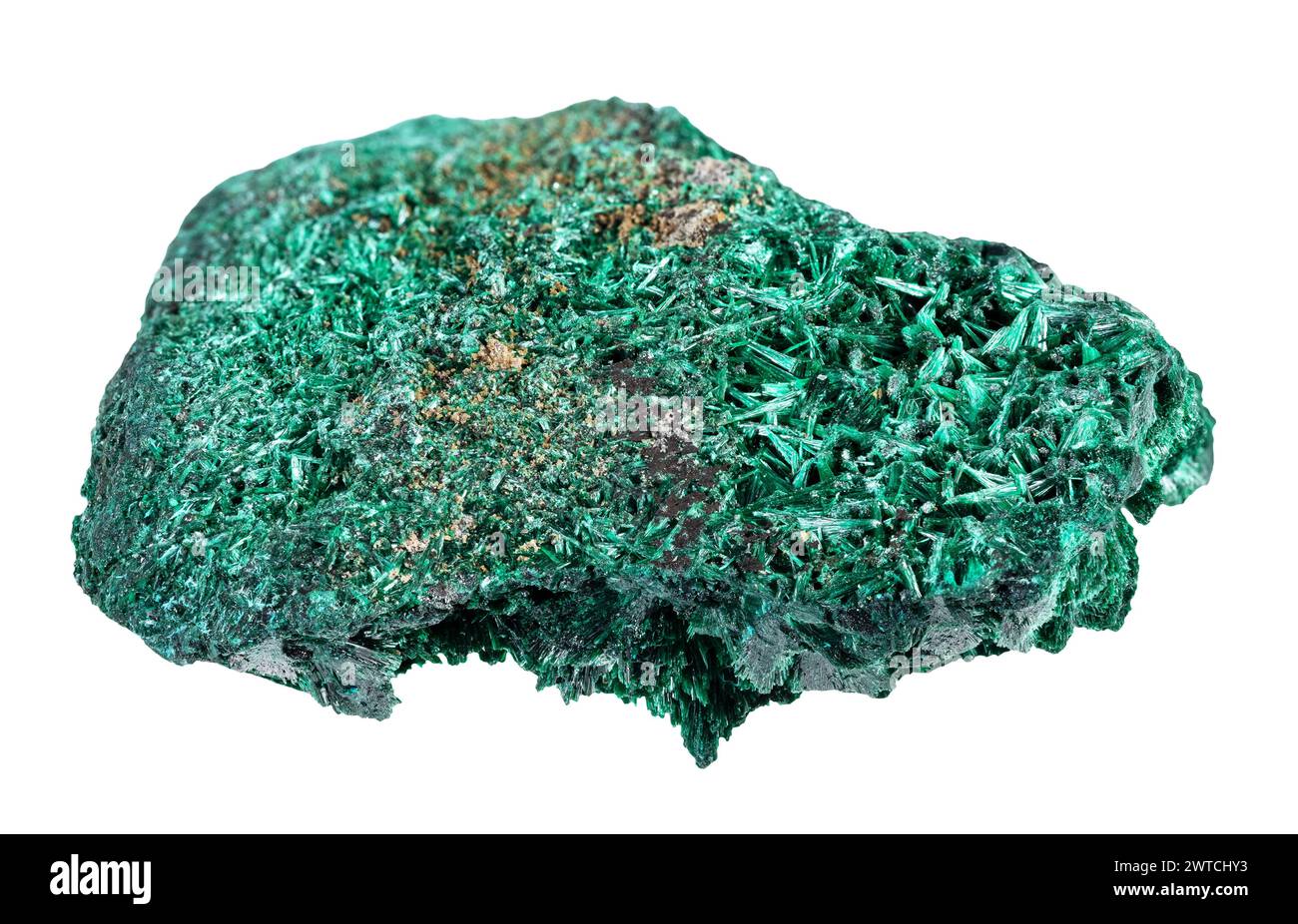 specimen of natural raw velvet malachite rock cutout on white ...