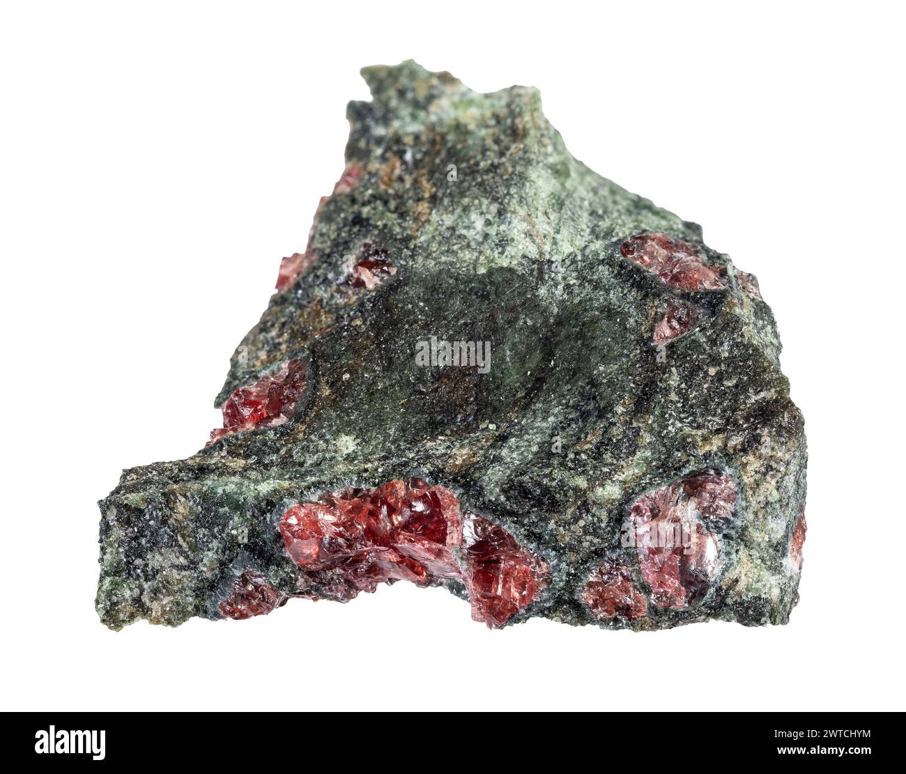 specimen of natural pyrope garnets in raw rock cutout on white ...