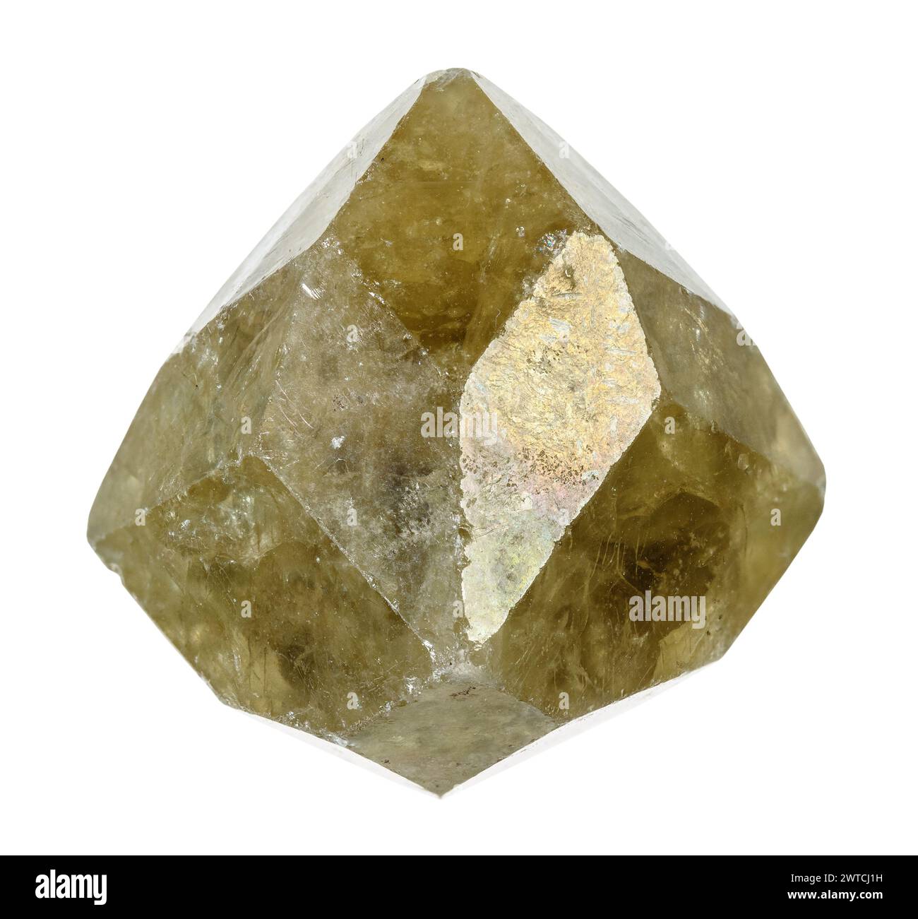 specimen of natural rough green grossular garnet crystal cutout on ...