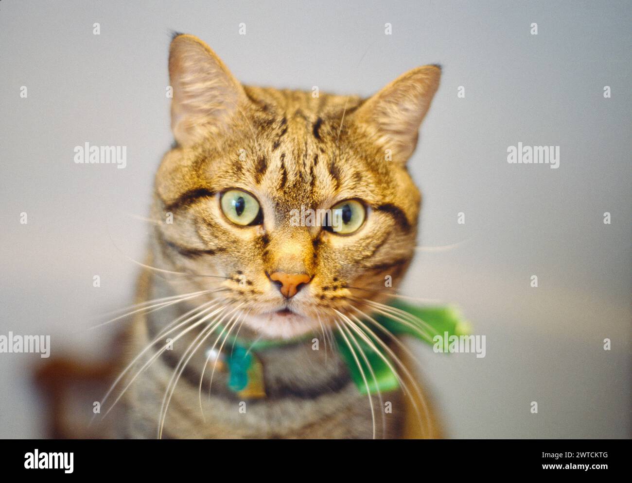 Cara retrato ojos ojos hi-res stock photography and images - Alamy Cara retrato ojos ojos hi-res stock photography and images - Alamy