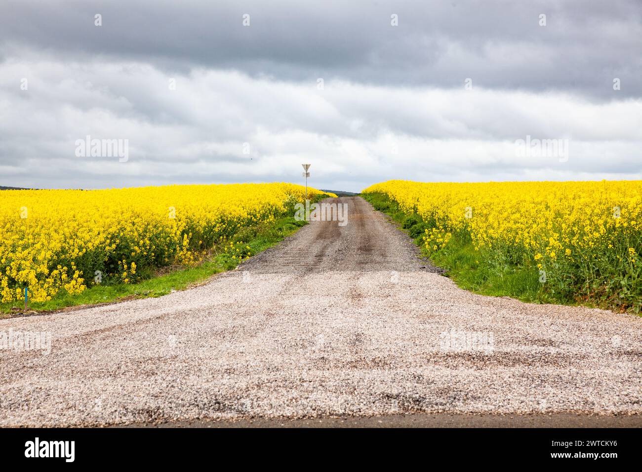 agricultural land ready for spring planting Stock Photo - Alamy