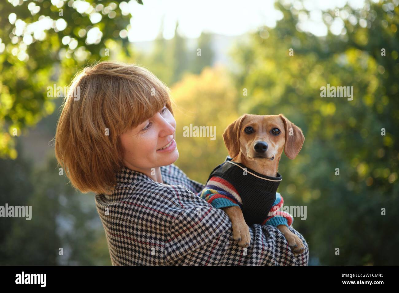 Owner walking with dog together in park outdoors, summer vacation ...