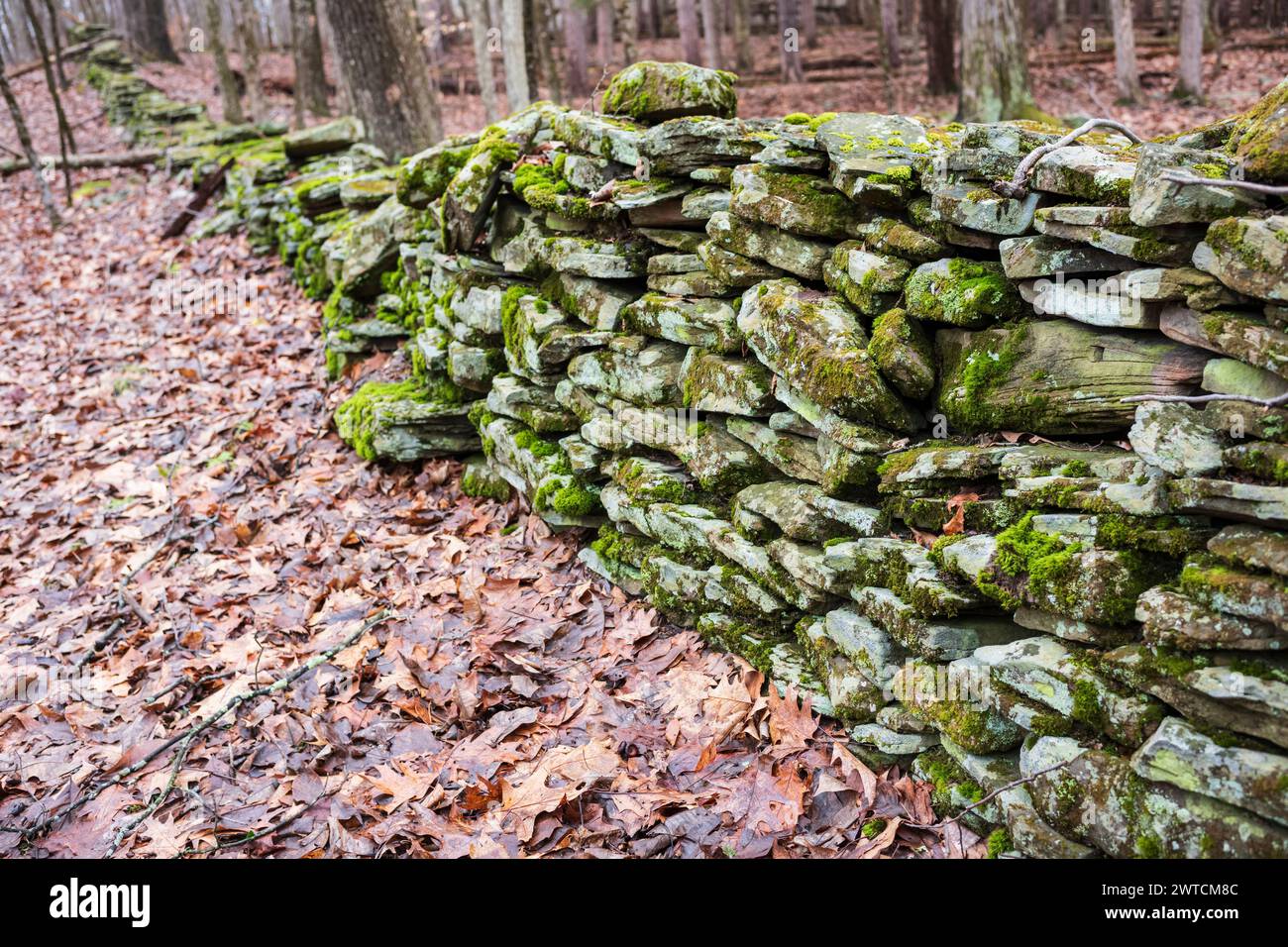 The Woodbourne Forest and Wildlife Preserve just south of Montrose ...