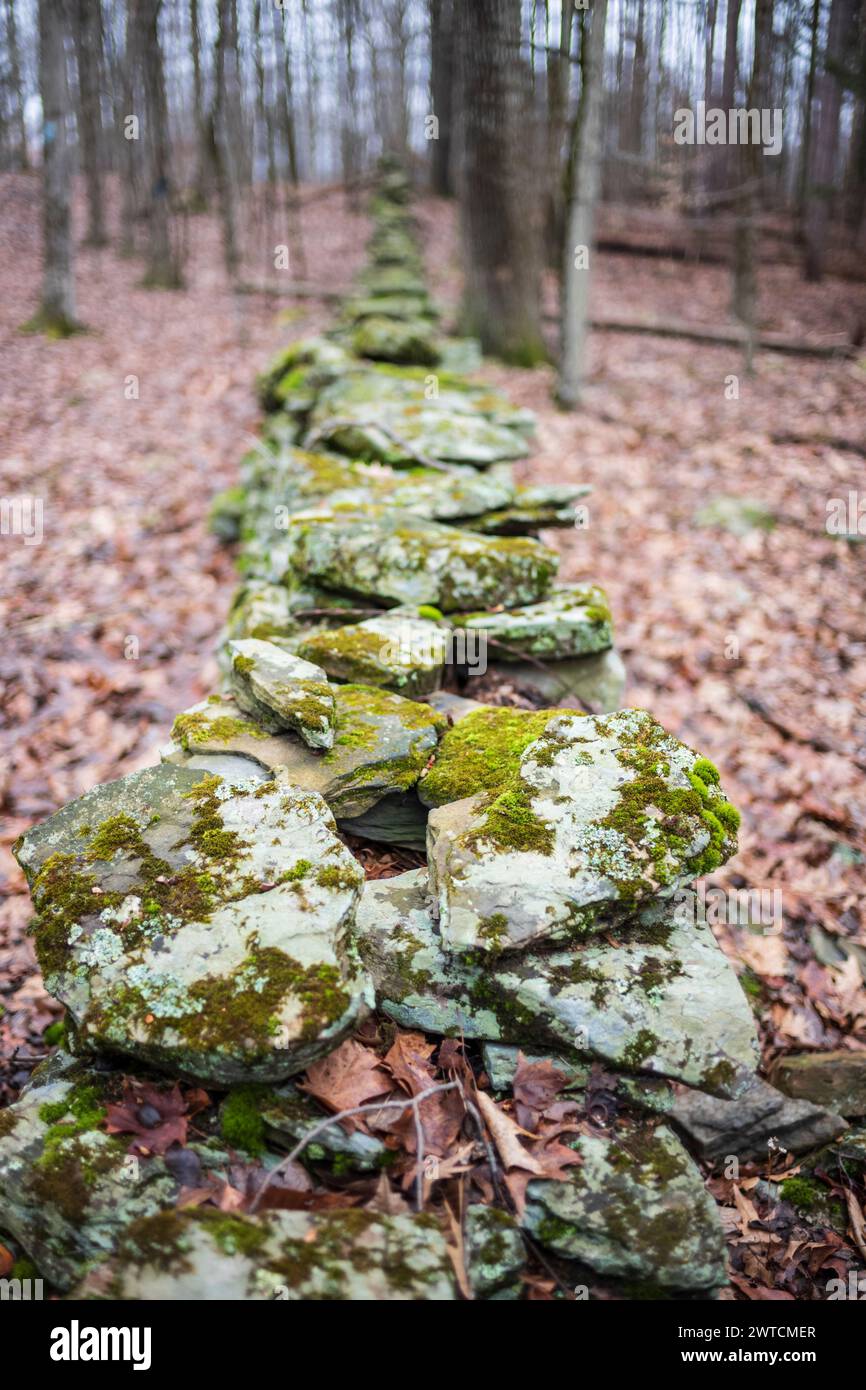 The Woodbourne Forest and Wildlife Preserve just south of Montrose ...