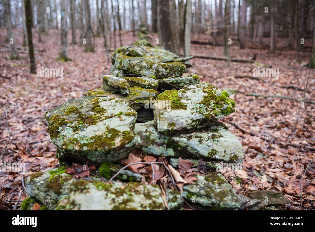The Woodbourne Forest and Wildlife Preserve just south of Montrose ...