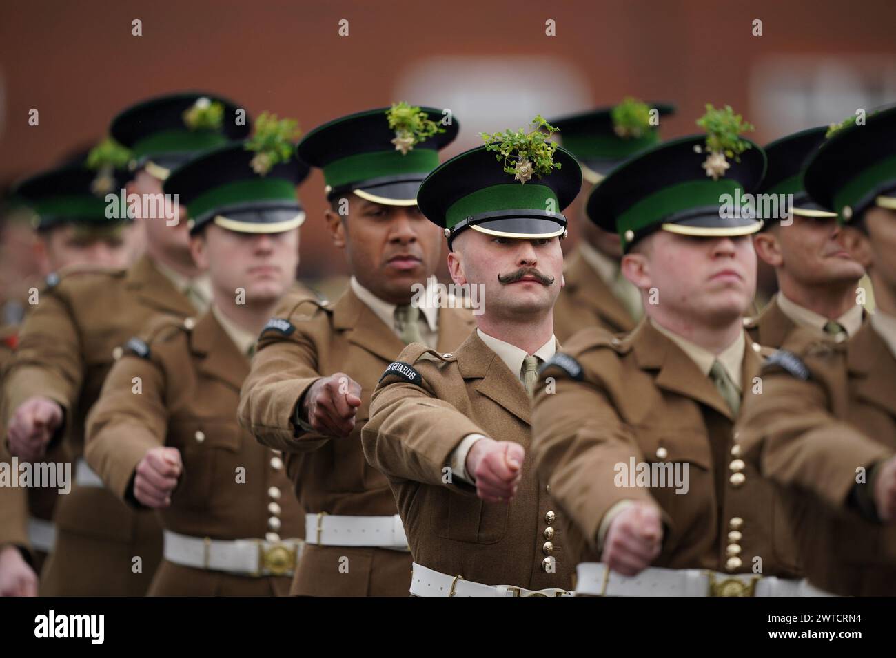 Irish Guardsmen, wearing a sprig of shamrock in their hats, offered as ...