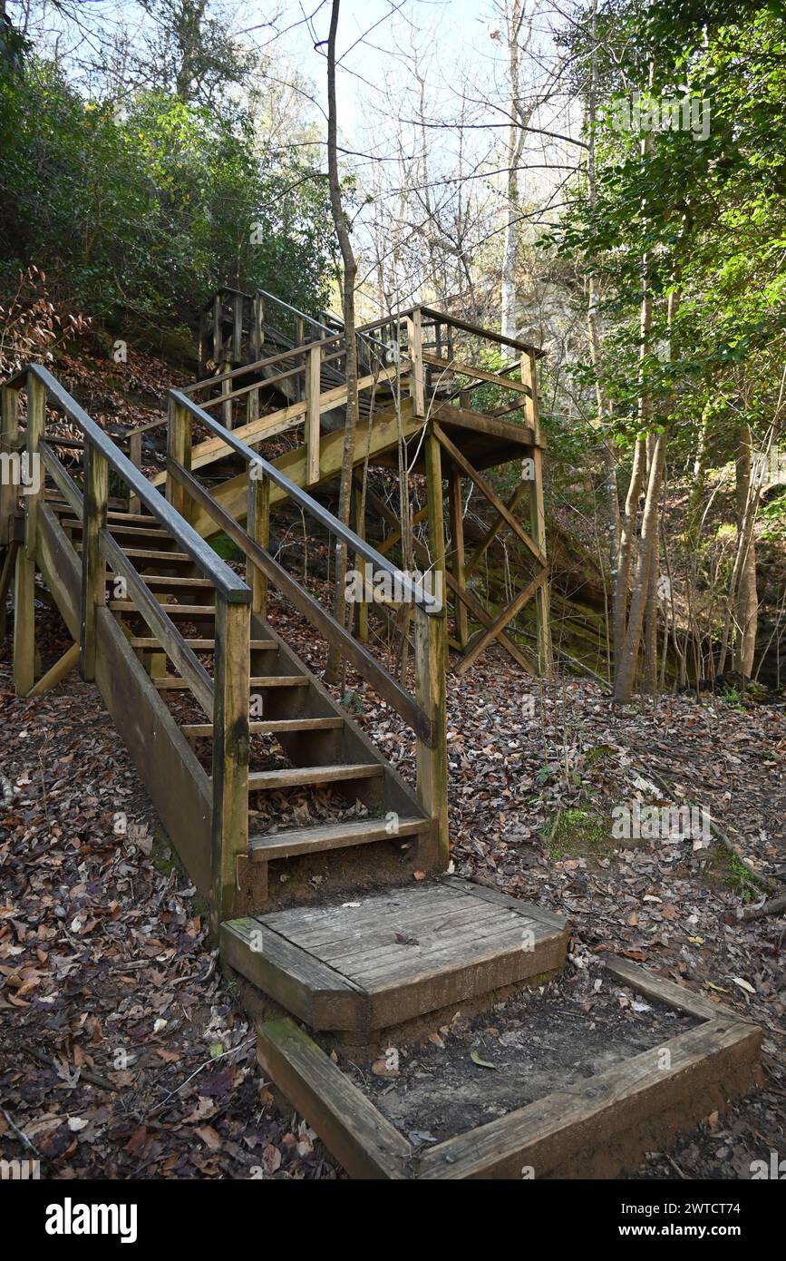 Stairs leading from the bluff to the Cape Fear River at Raven Rock ...