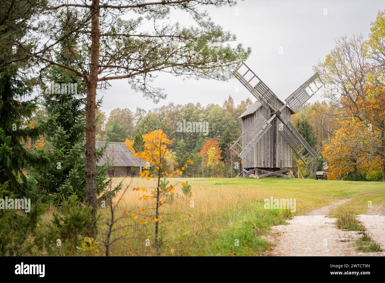 Autumn landscape with old windmill. Antique wooden windmill on a forest ...