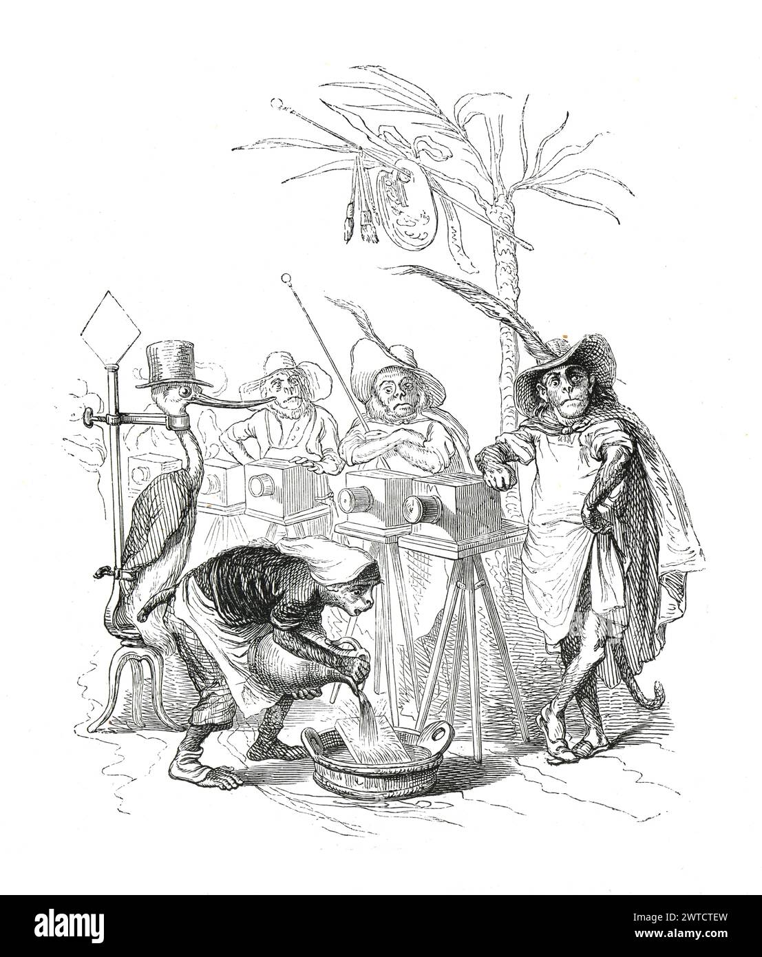 Anthropomorphic animals. humanized birds and ape. monkey developed ...