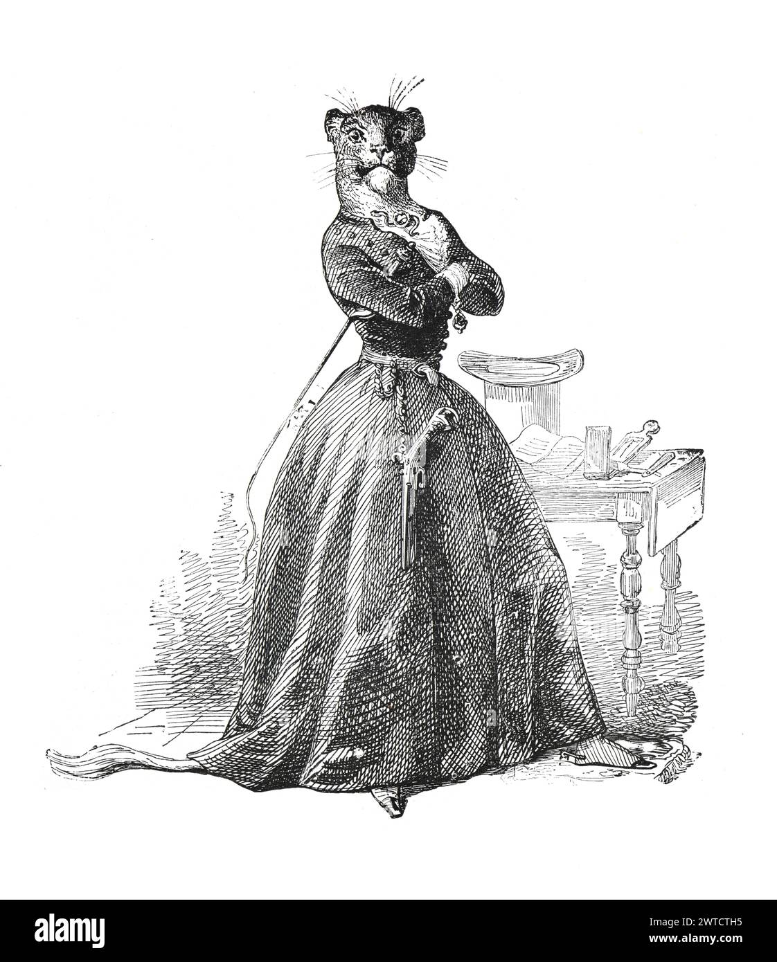 Anthropomorphic animals. humanized Panther. panther in dress. lady ...