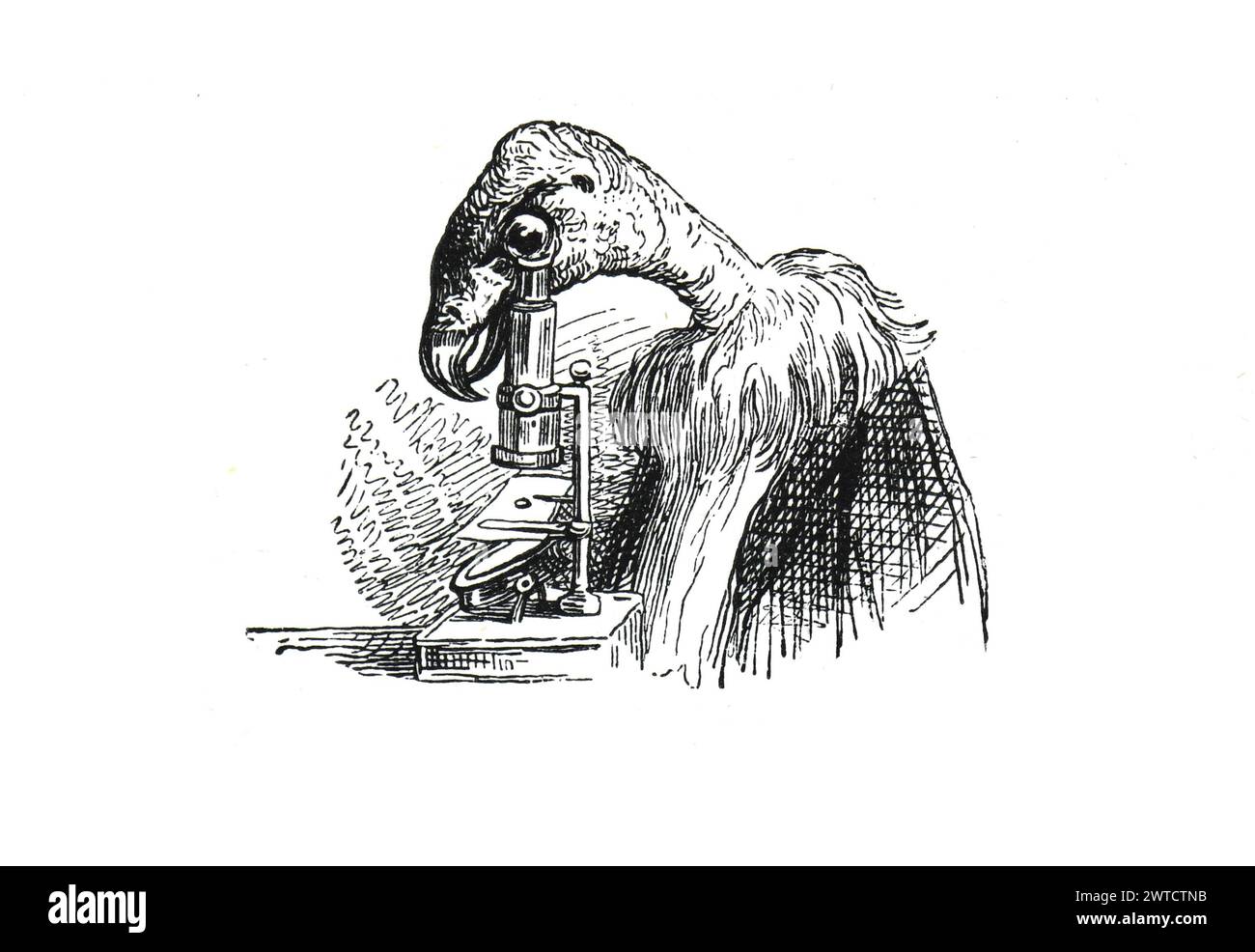 Anthropomorphic animals. humanized vulture.Vuture as a researcher ...