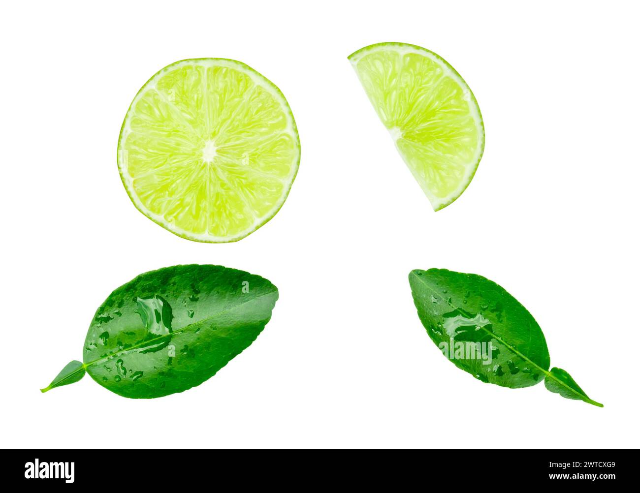 Top view set of green lemon fruit in half and slice or quarter shape with leaves is isolated on ...