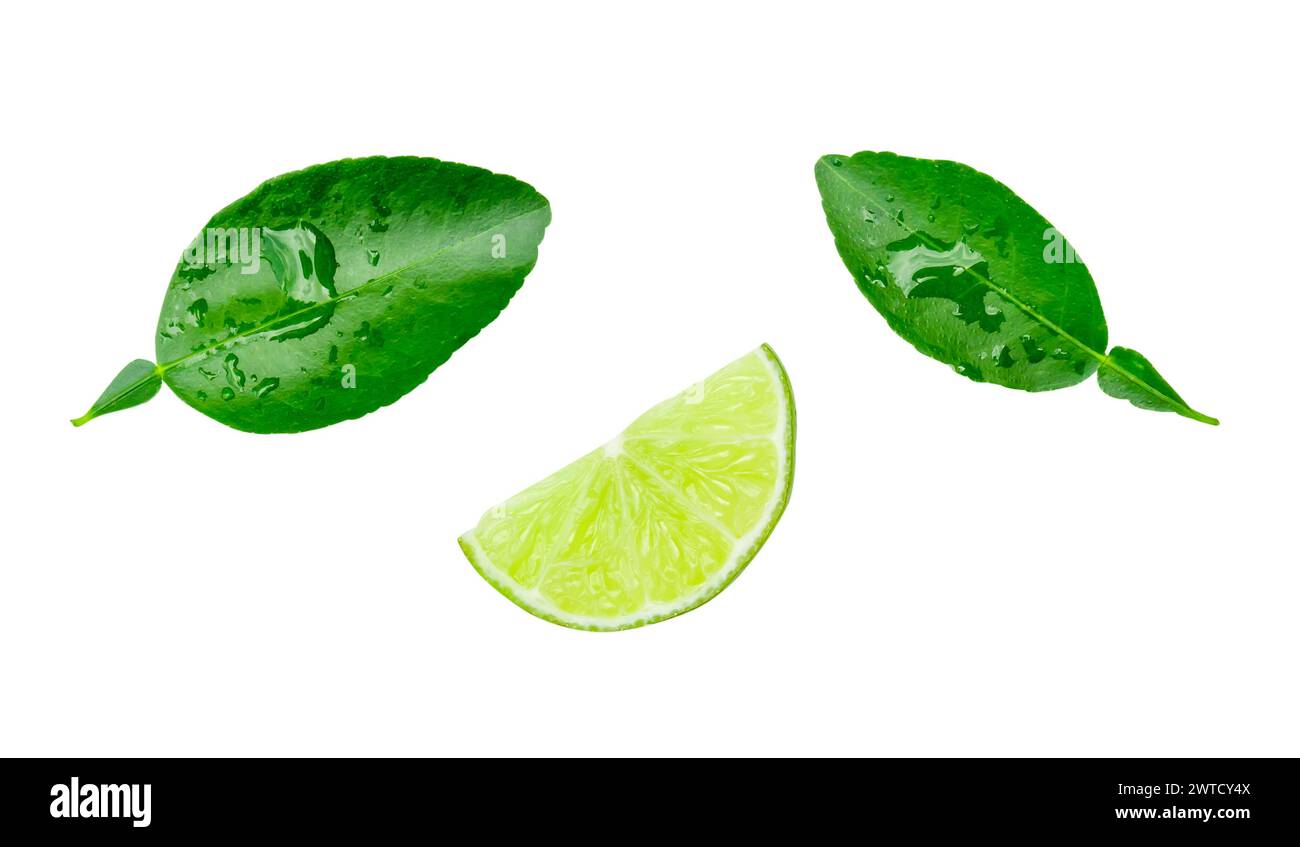 Top view set of green lemon fruit in slice or quarter shape with leaves is isolated on white ...