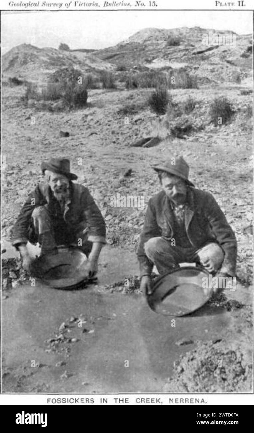 Fossickers in the Nerrena Creek outside Ballarat Stock Photo - Alamy