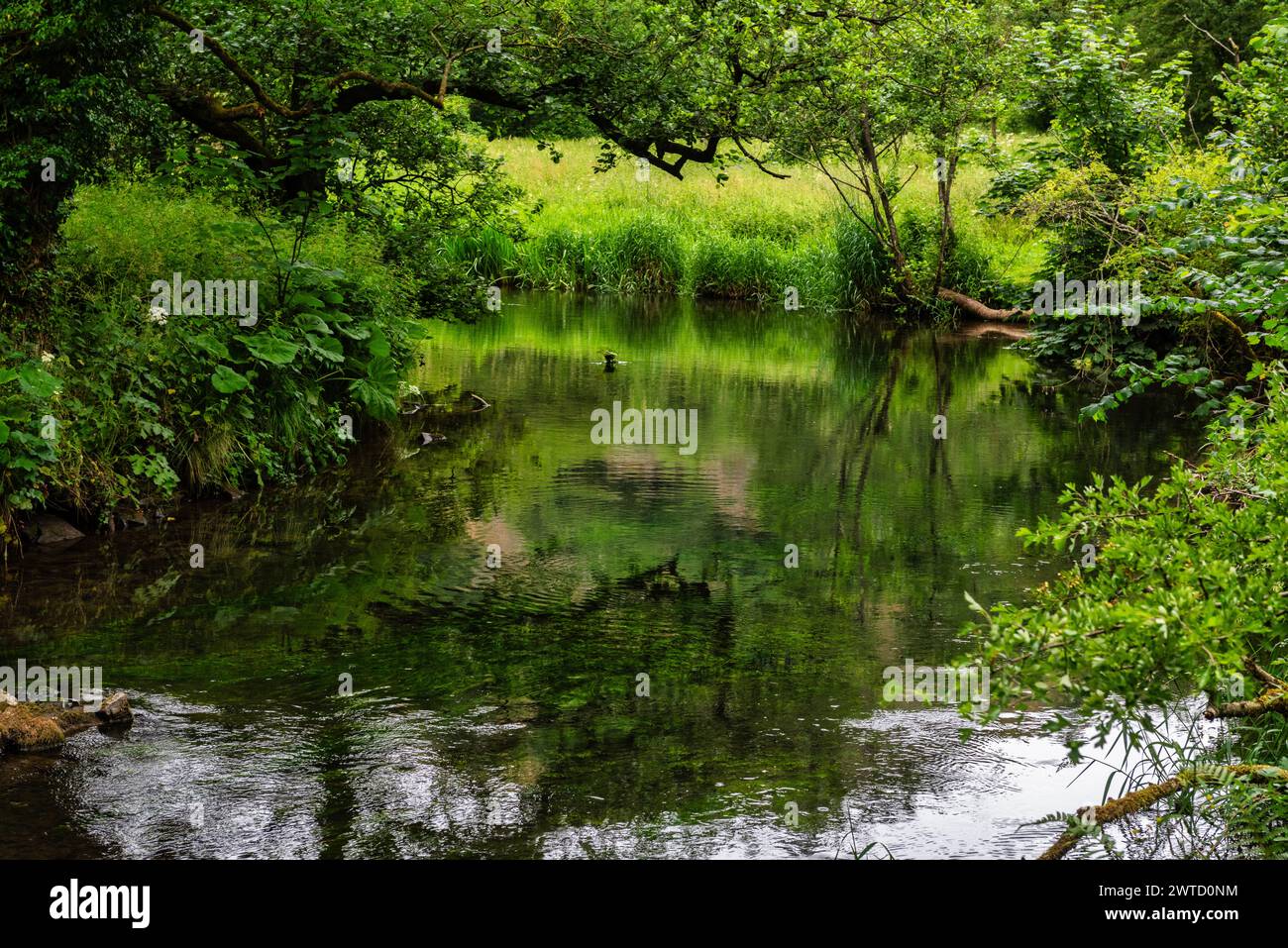 The River Dove viewed from the path between Dovedale and Milldale in ...