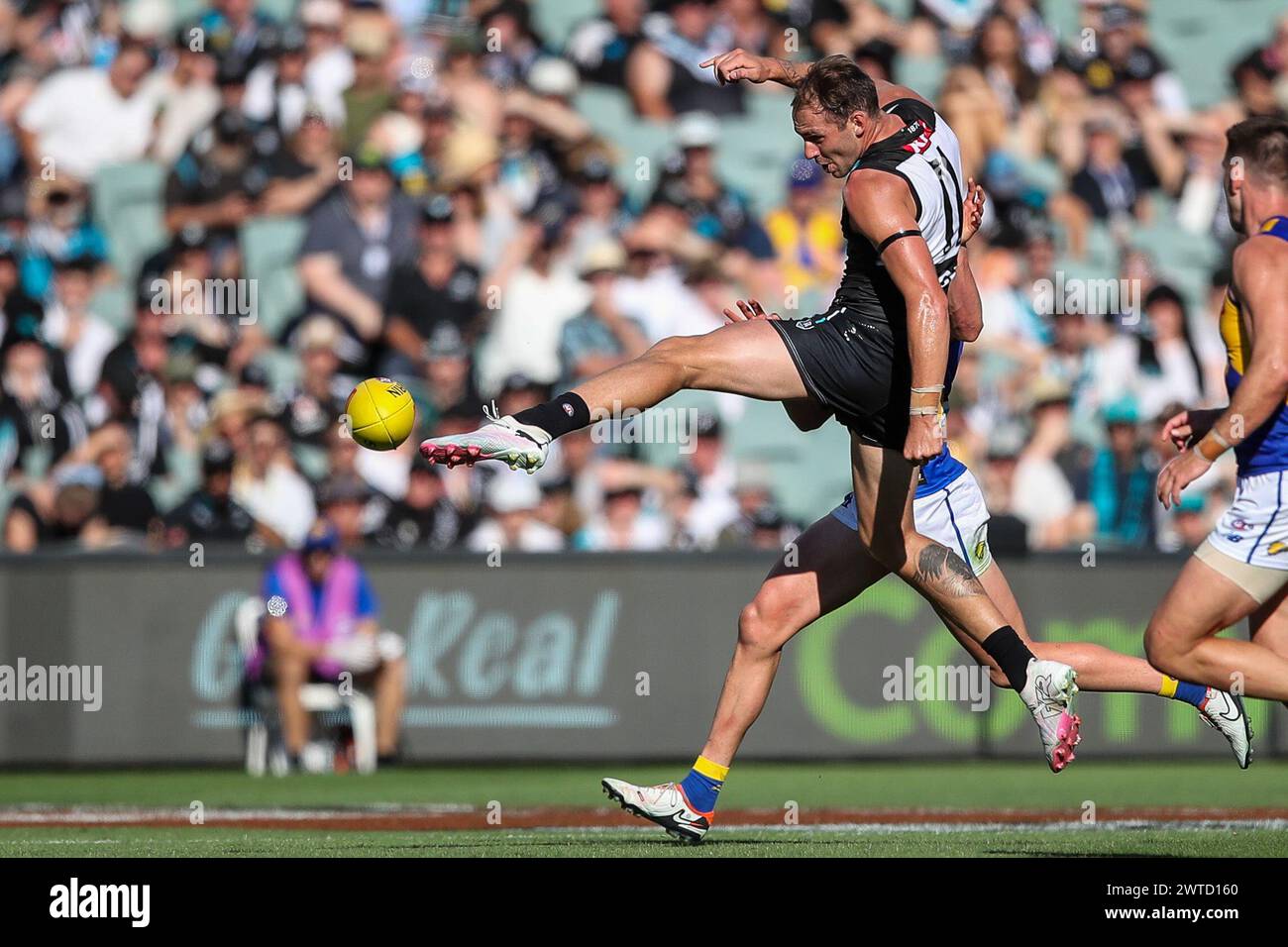 Adelaide, Australia. 17th Mar, 2024. Jeremy Finlayson of the Power ...