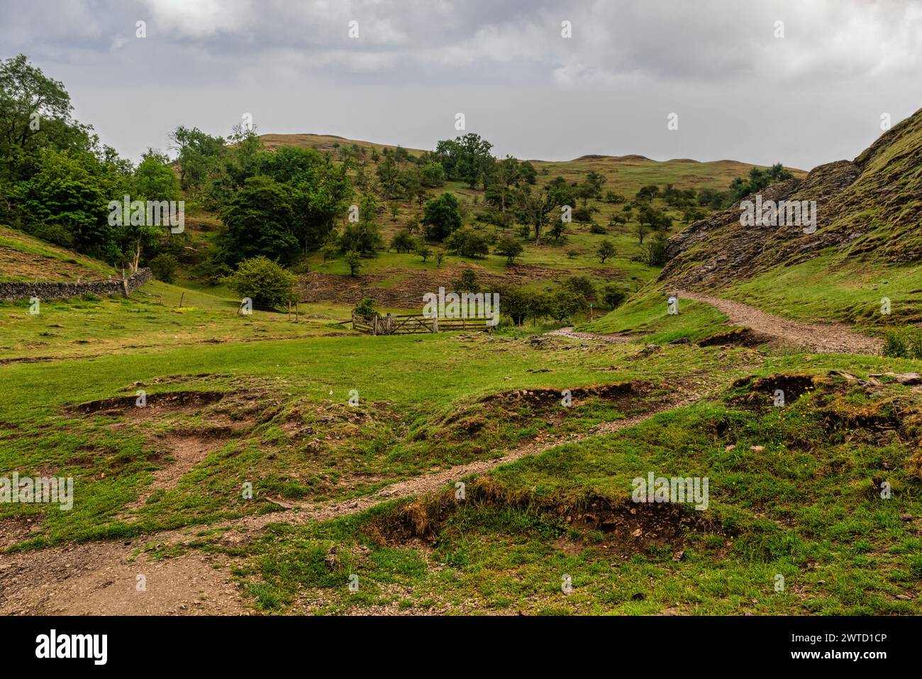 Dovedale in the Peak District in Derbyshire, England Stock Photo - Alamy