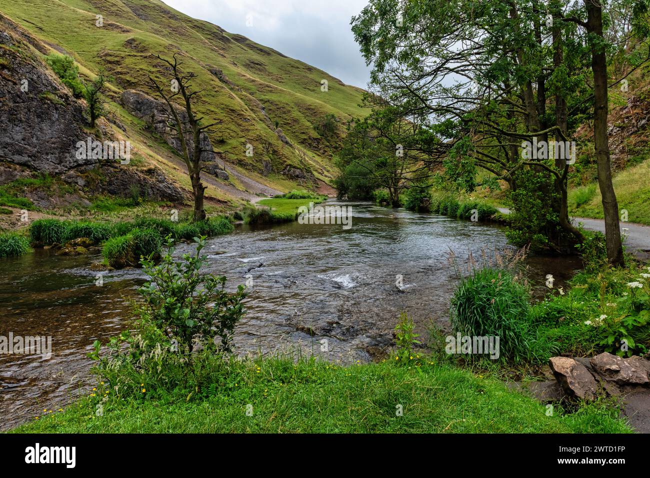 Dovedale and the River Dove in the Peak District in Derbyshire, England ...