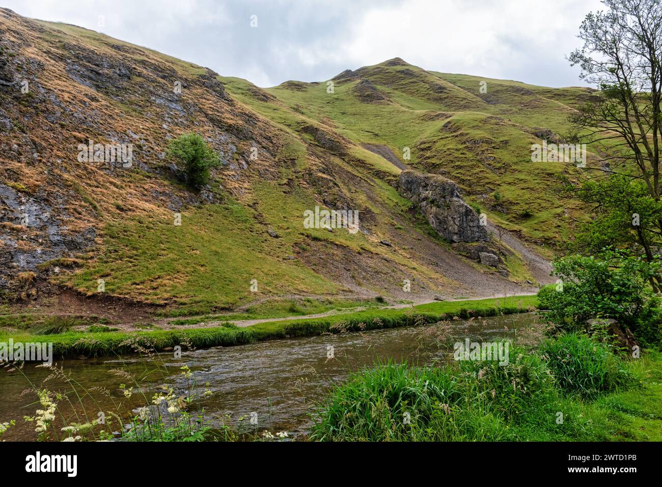 Dovedale and the River Dove in the Peak District in Derbyshire, England ...