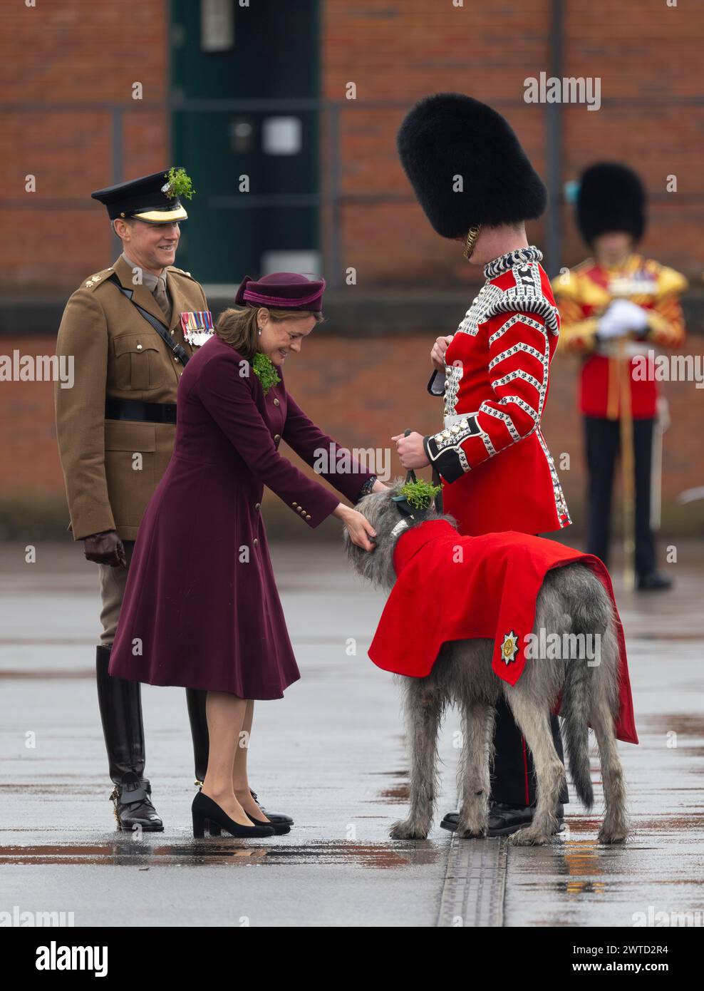 Mons Barracks, Aldershot, Hampshire, UK. 17th March 2024. The Irish ...