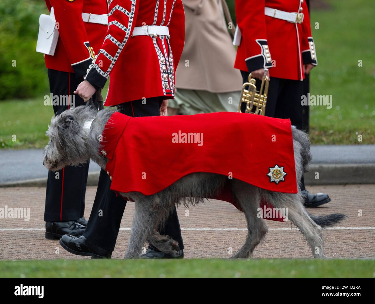 Mons Barracks, Aldershot, Hampshire, UK. 17th March 2024. The Irish ...