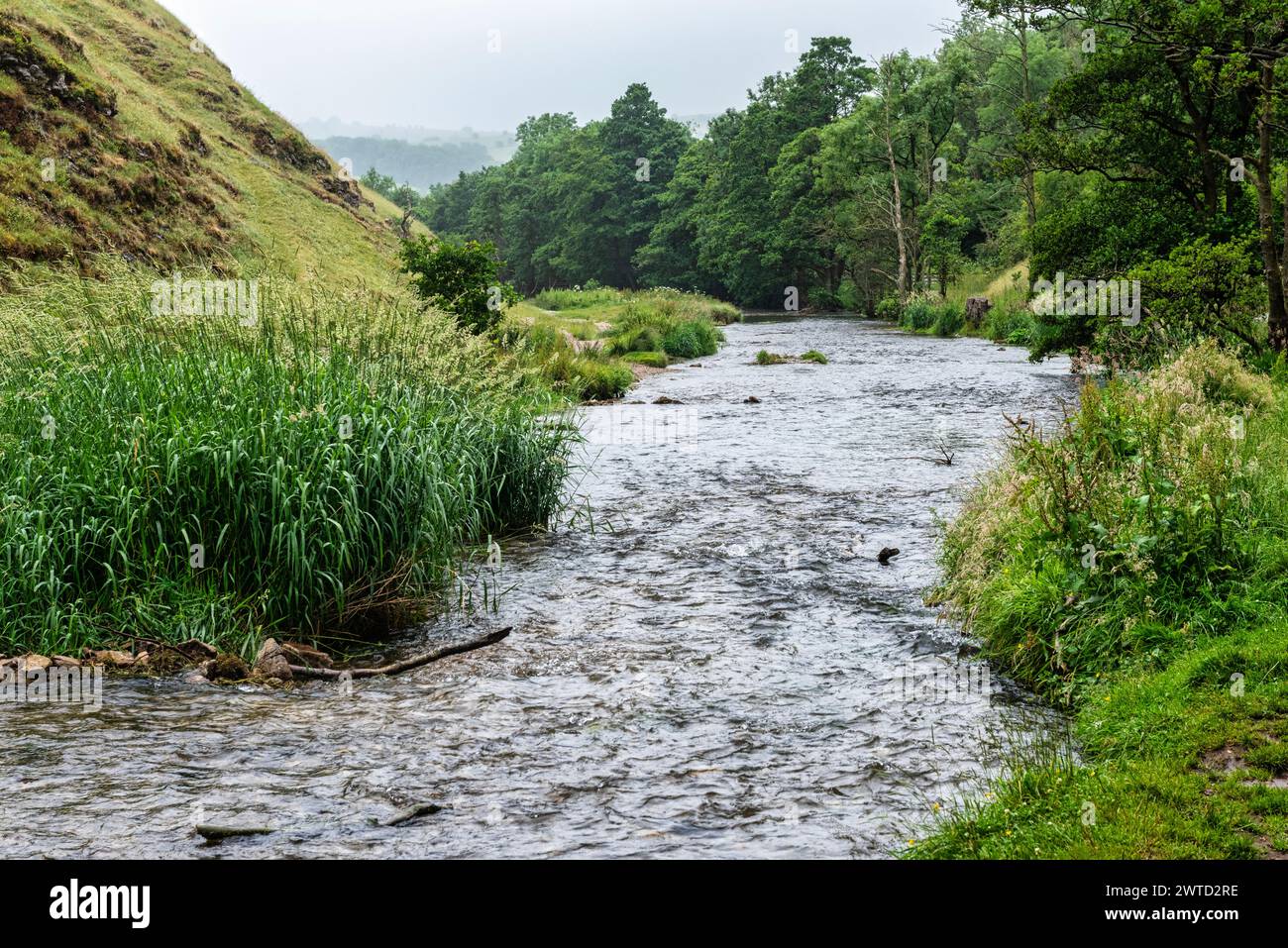 Dovedale and the River Dove in the Peak District in Derbyshire, England ...