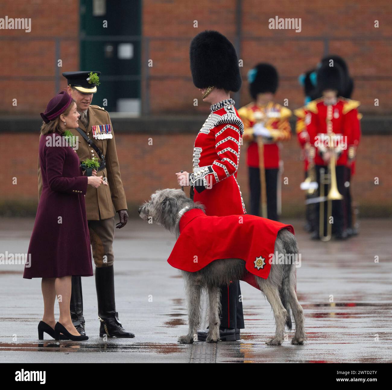 Mons Barracks, Aldershot, Hampshire, UK. 17th March 2024. The Irish ...