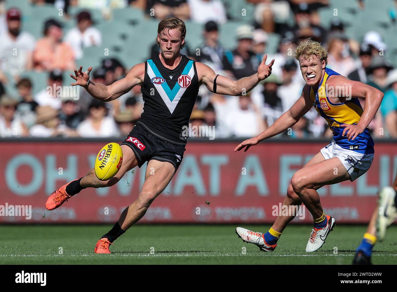 Adelaide, Australia. 17th Mar, 2024. Miles Bergman of the Power during ...