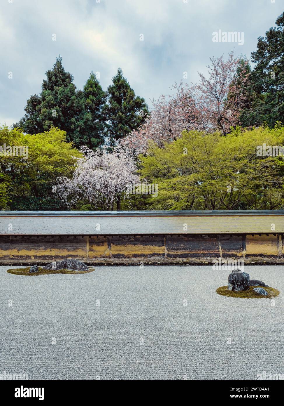 Trees Surrounding The Meditation Spot In Japan Stock Photo - Alamy