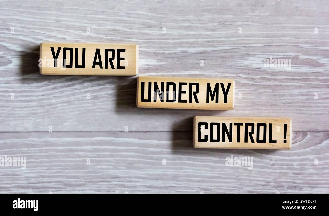 You are under my control, text on wooden blocks and light background ...