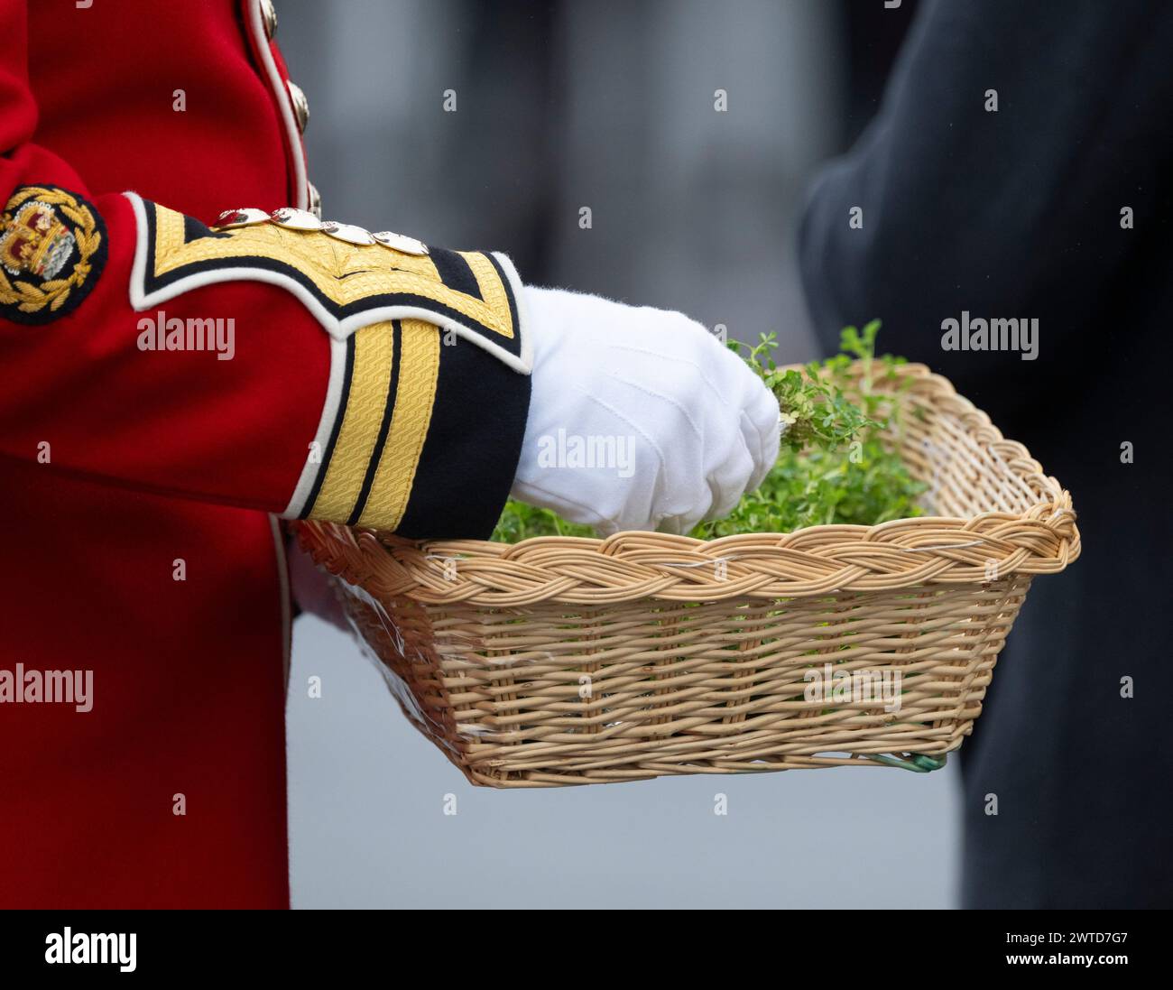 Mons Barracks, Aldershot, Hampshire, UK. 17th March 2024. The Irish ...