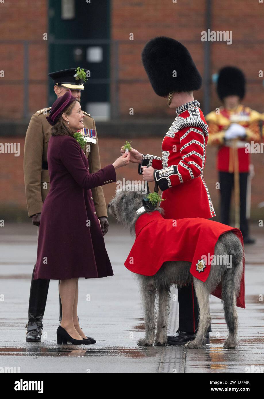 Mons Barracks, Aldershot, Hampshire, UK. 17th March 2024. The Irish ...