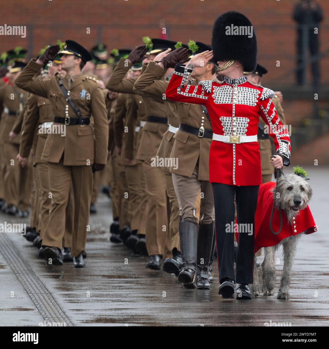 Mons Barracks, Aldershot, Hampshire, UK. 17th March 2024. The Irish ...