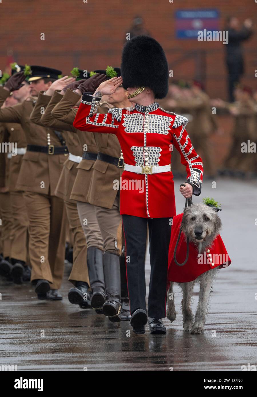 Mons Barracks, Aldershot, Hampshire, UK. 17th March 2024. The Irish ...