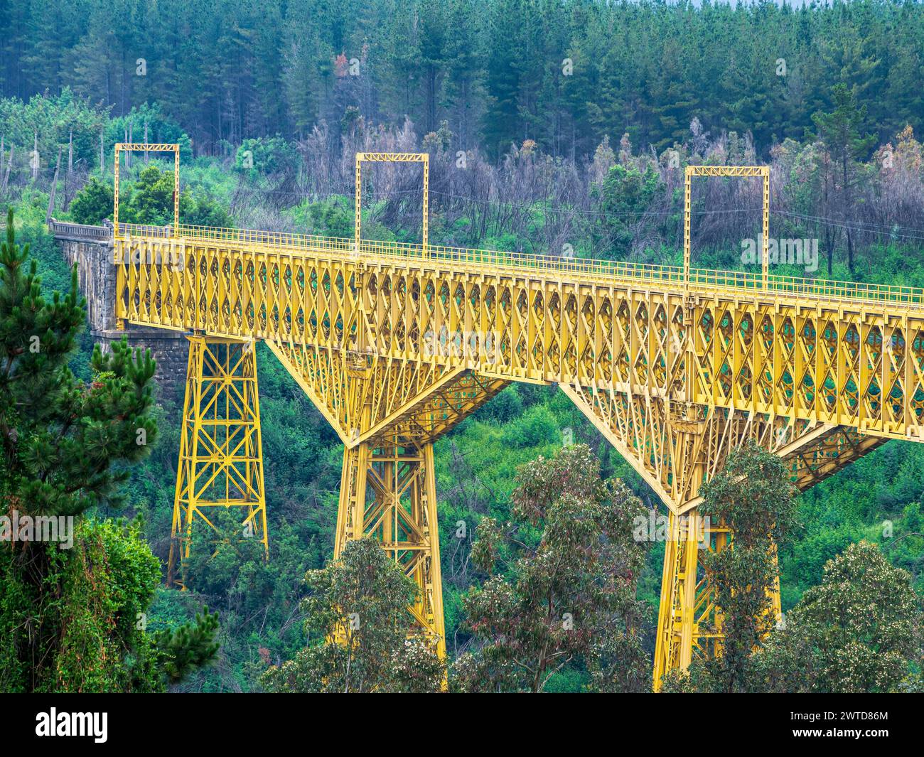 Malleco viaduct, railway bridge near Collipolli, historic industrial ...
