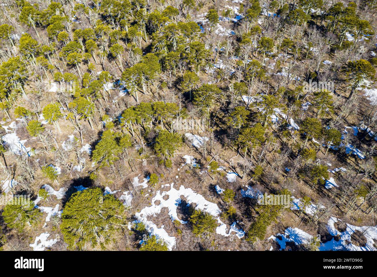 Trail sendero lagos andinos hi-res stock photography and images - Alamy