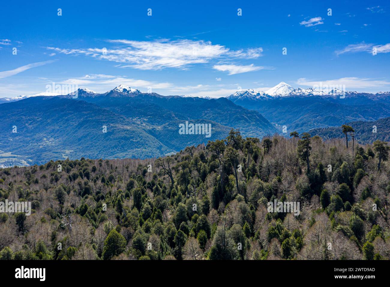 Forest at the Laguna Corazon de Liquine, aerial view towards Anden ...