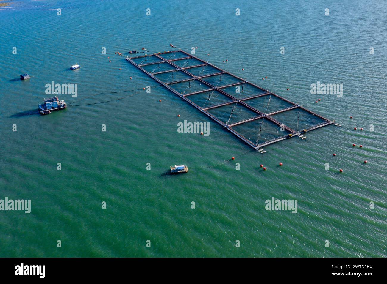 Aerial view of salmon farm in the Reloncavi fjord southeast of Puerto ...