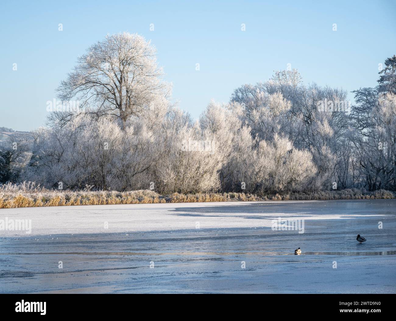 Newburgh lake hi-res stock photography and images - Alamy