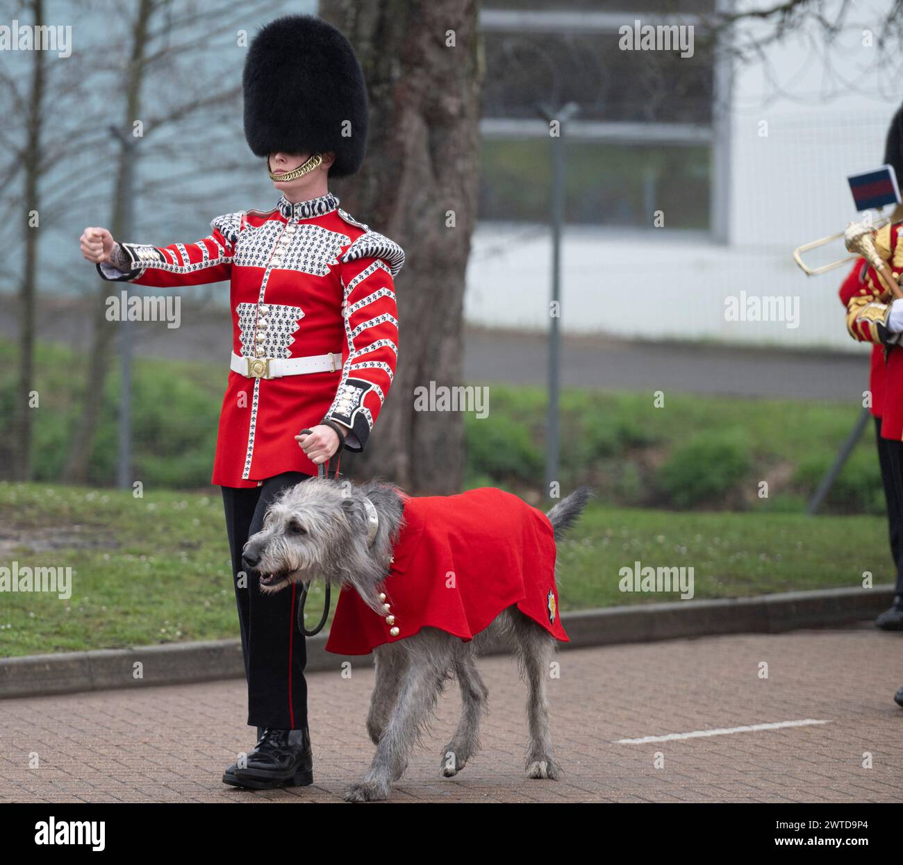 Mons Barracks, Aldershot, Hampshire, UK. 17th March 2024. The Irish ...