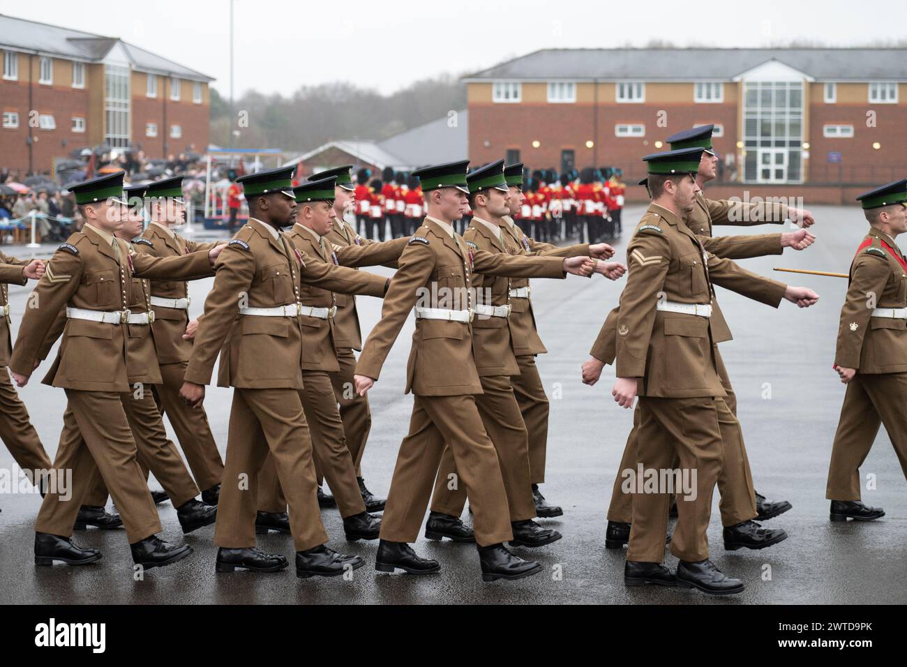 Number 12 company irish guards hi-res stock photography and images - Alamy
