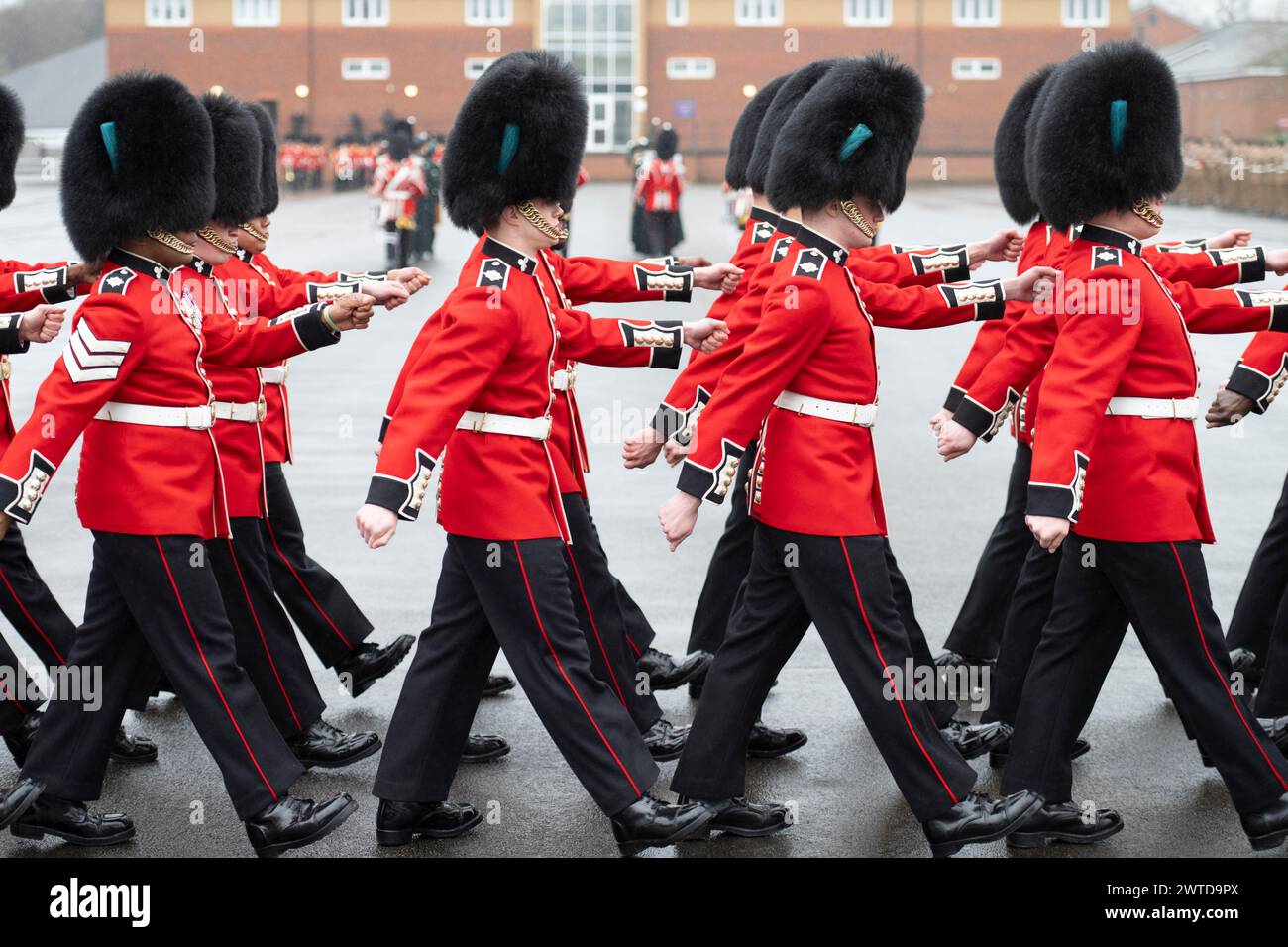 Number 12 company irish guards hi-res stock photography and images - Alamy