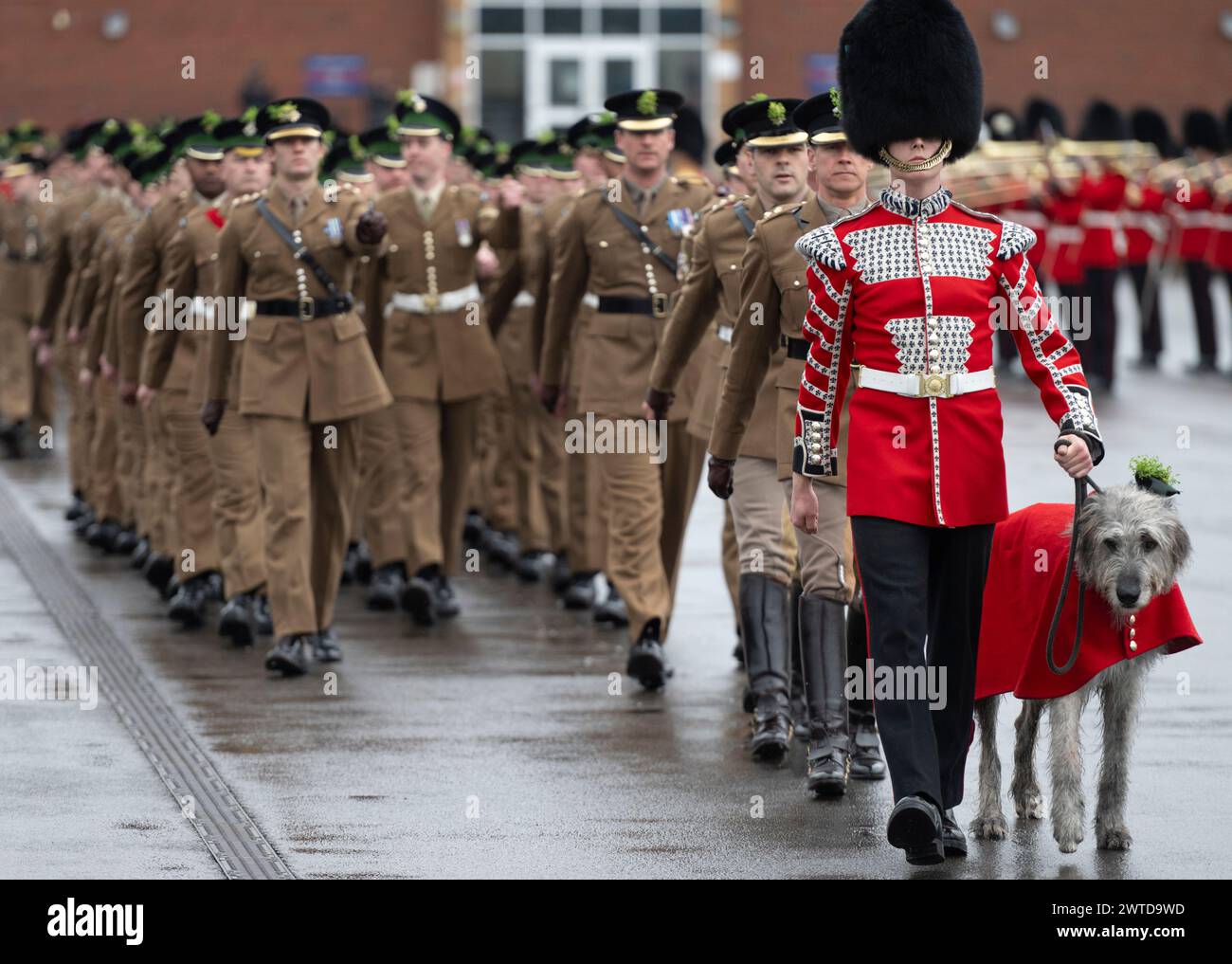 Mons Barracks, Aldershot, Hampshire, UK. 17th March 2024. The Irish ...