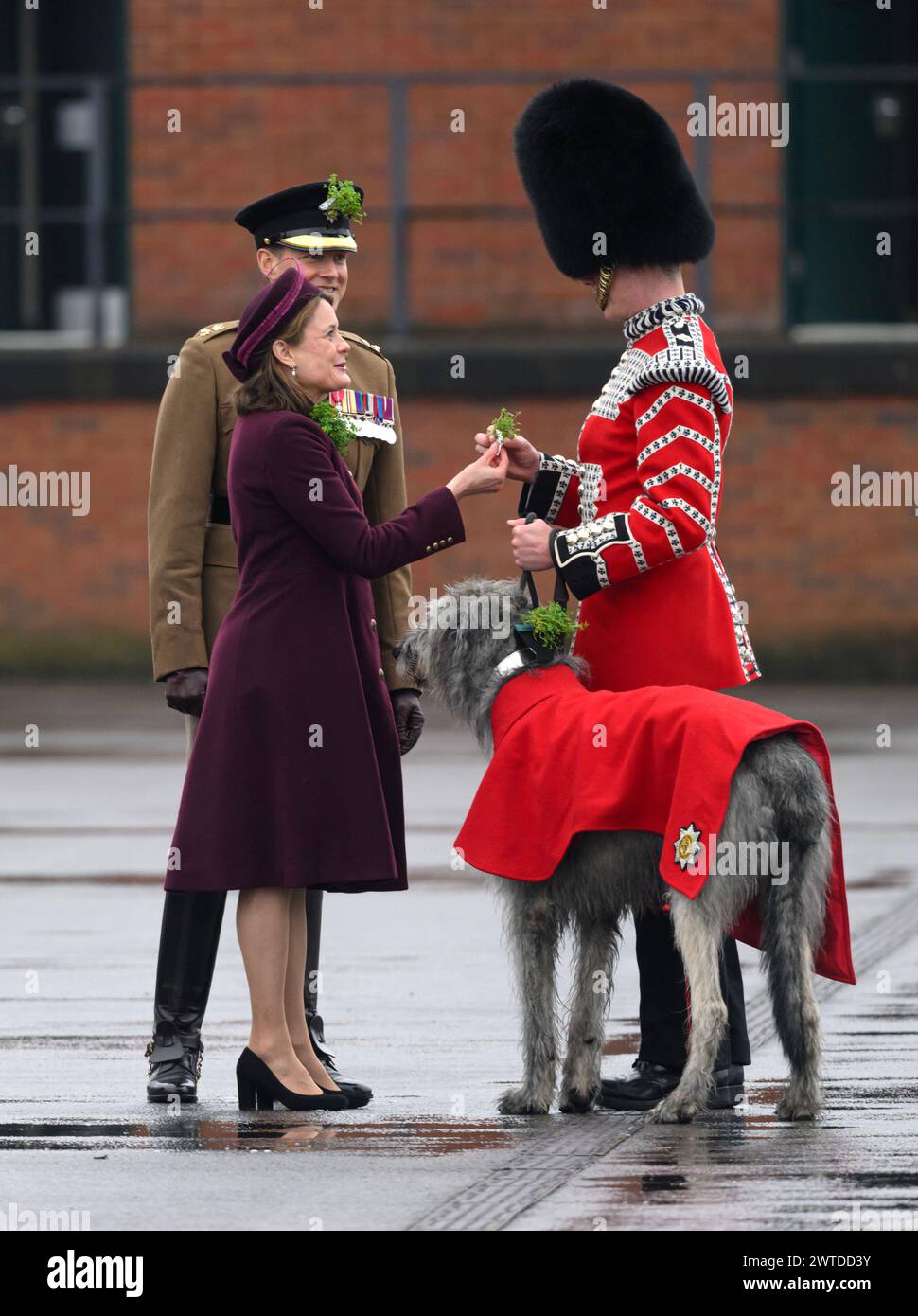 Christopher ghika hi-res stock photography and images - Alamy